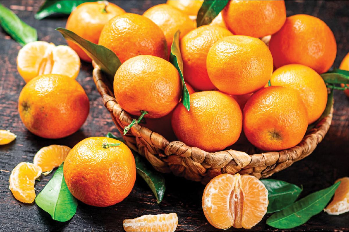 Mandarin – MG Agri Foods